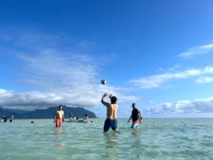4 Recommendations for Early Morning Kaneohe Sandbar Tour from Captain ...