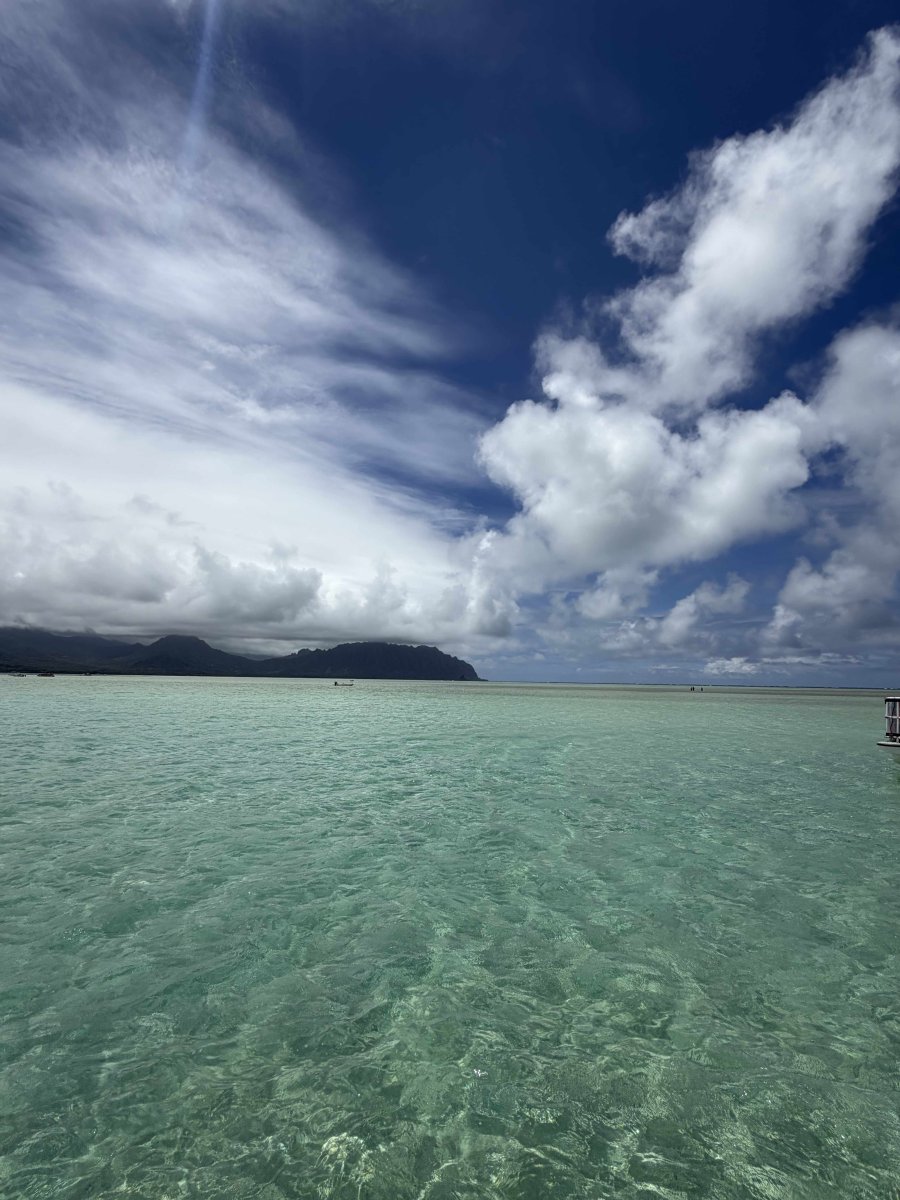 Tour Details - Kaneohe Sandbar Tour: Snorkel, SUP, Relax // CAPTAIN ...